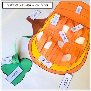 Parts of a Pumpkin Printable Worksheet, Montessori Prek Science ...
