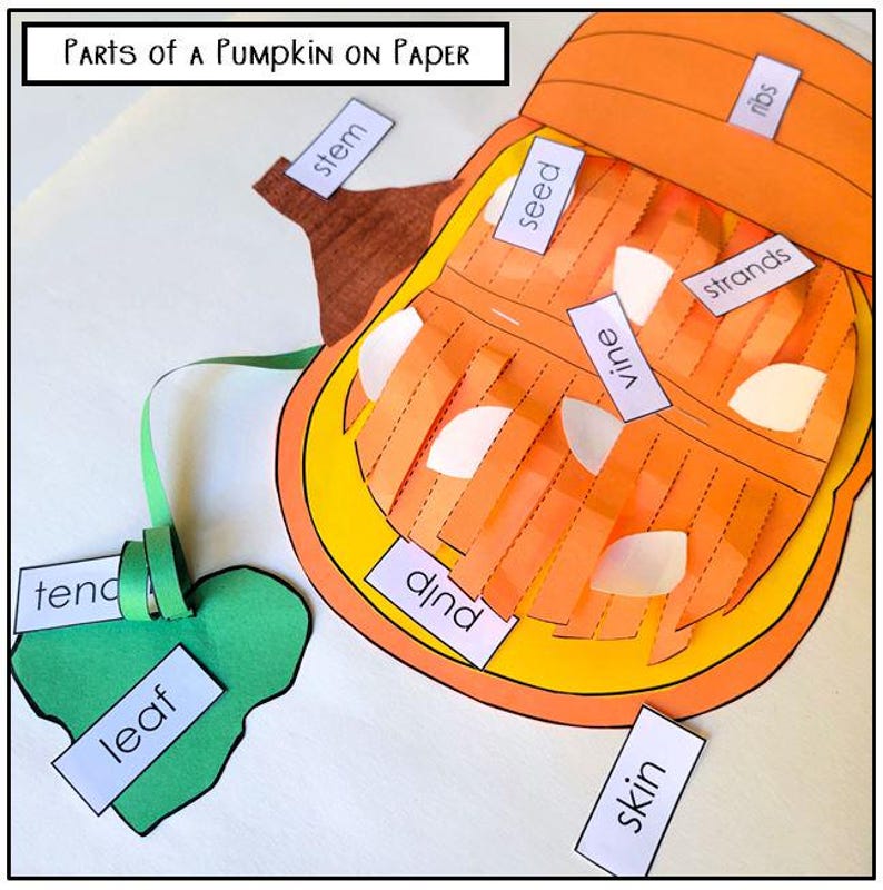 Parts of a Pumpkin Printable Worksheet, Montessori Prek Science ...