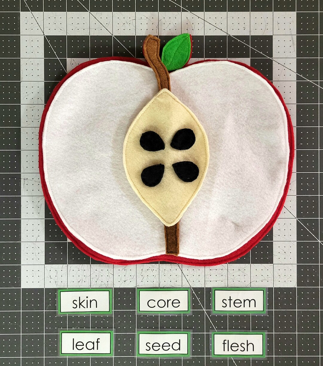 Parts of Apple Felt Apple Puzzle, Apple Fruit Life Cycle, Montessori ...