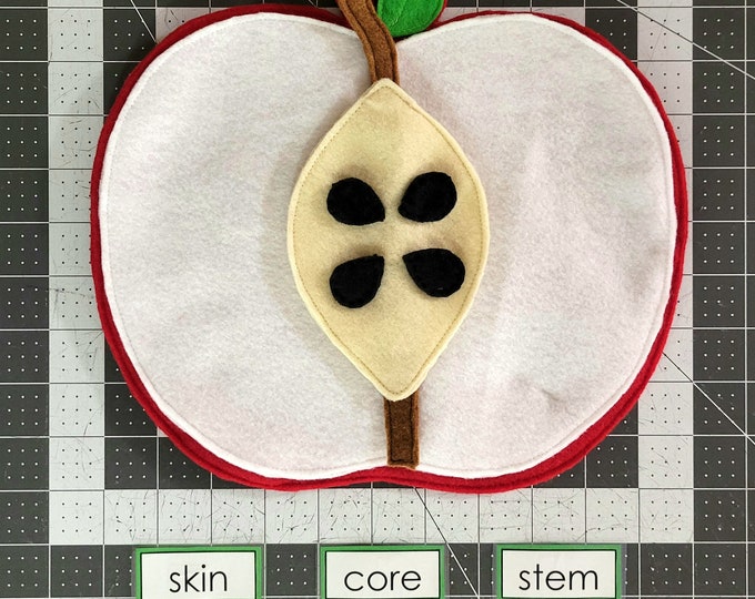 Parts of Apple Felt Apple Puzzle, Apple Fruit Life Cycle, Montessori ...