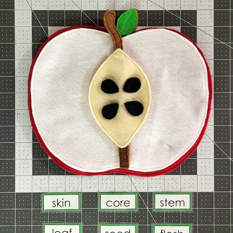 Apples Pre K Activity - Etsy