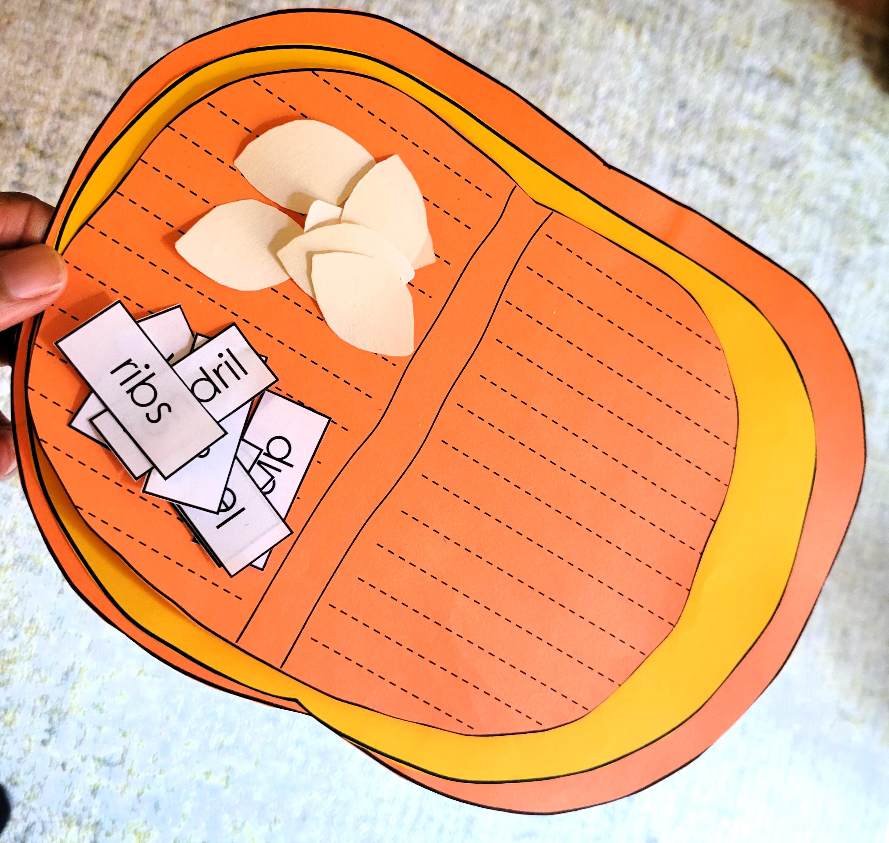 Parts of a Pumpkin Printable Worksheet, Montessori Prek Science ...