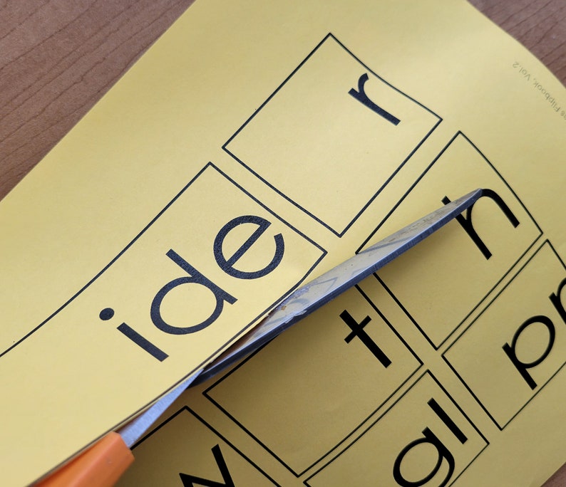 Word Families Flipbook 2, Montessori Language Resource, Emerging ...