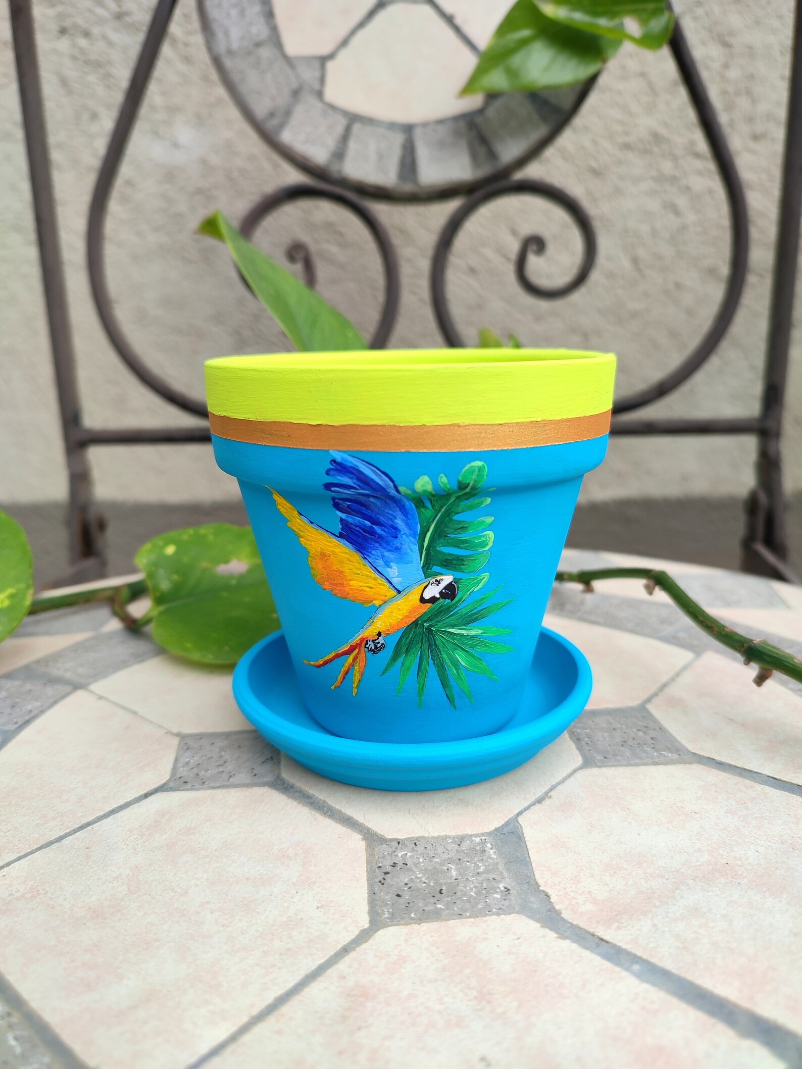 Flowerpot Parrot | Plant Pot Hand-painted | Flowerpot With Saucer ...