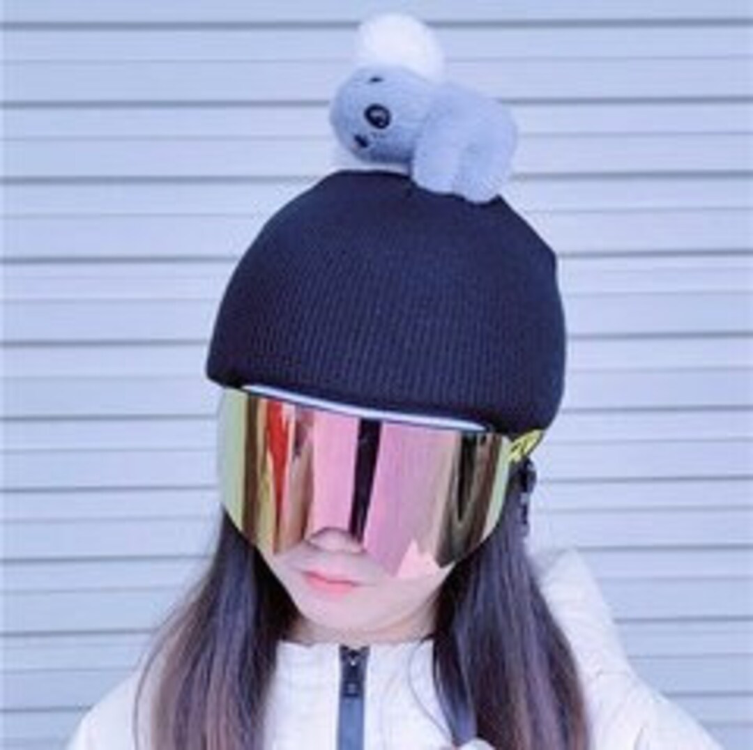 Cute Koala Uni Size Ski Helmet Cover for Adults and Kids, Motorcycle ...