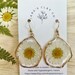 Pressed Daisy Hoops - Etsy
