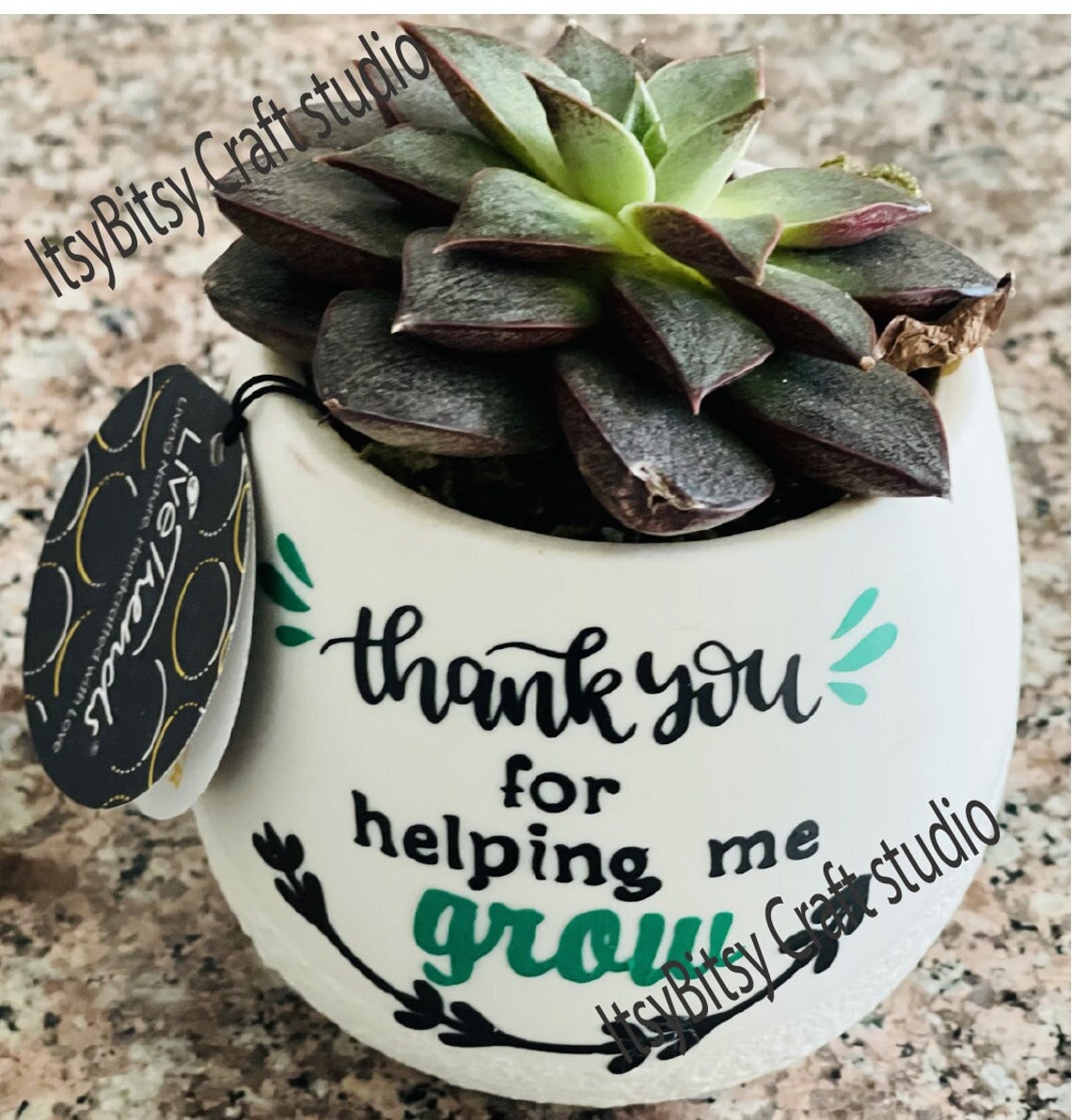 Succulent for Teachers Teachers Appreciation Gift End of - Etsy