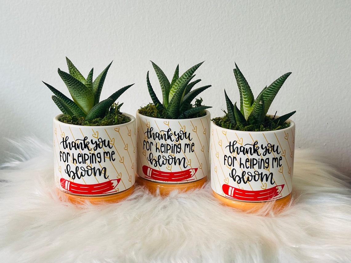 Succulent for Teachers Teachers Appreciation Gift End of - Etsy