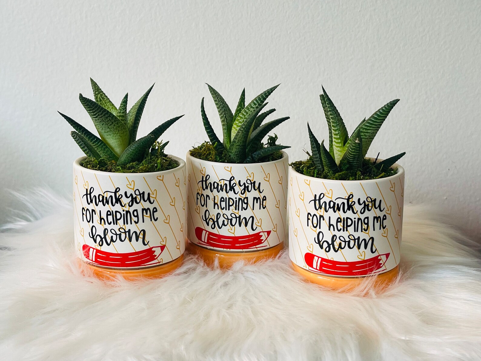 Succulent for Teachers Teachers Appreciation Gift End of - Etsy