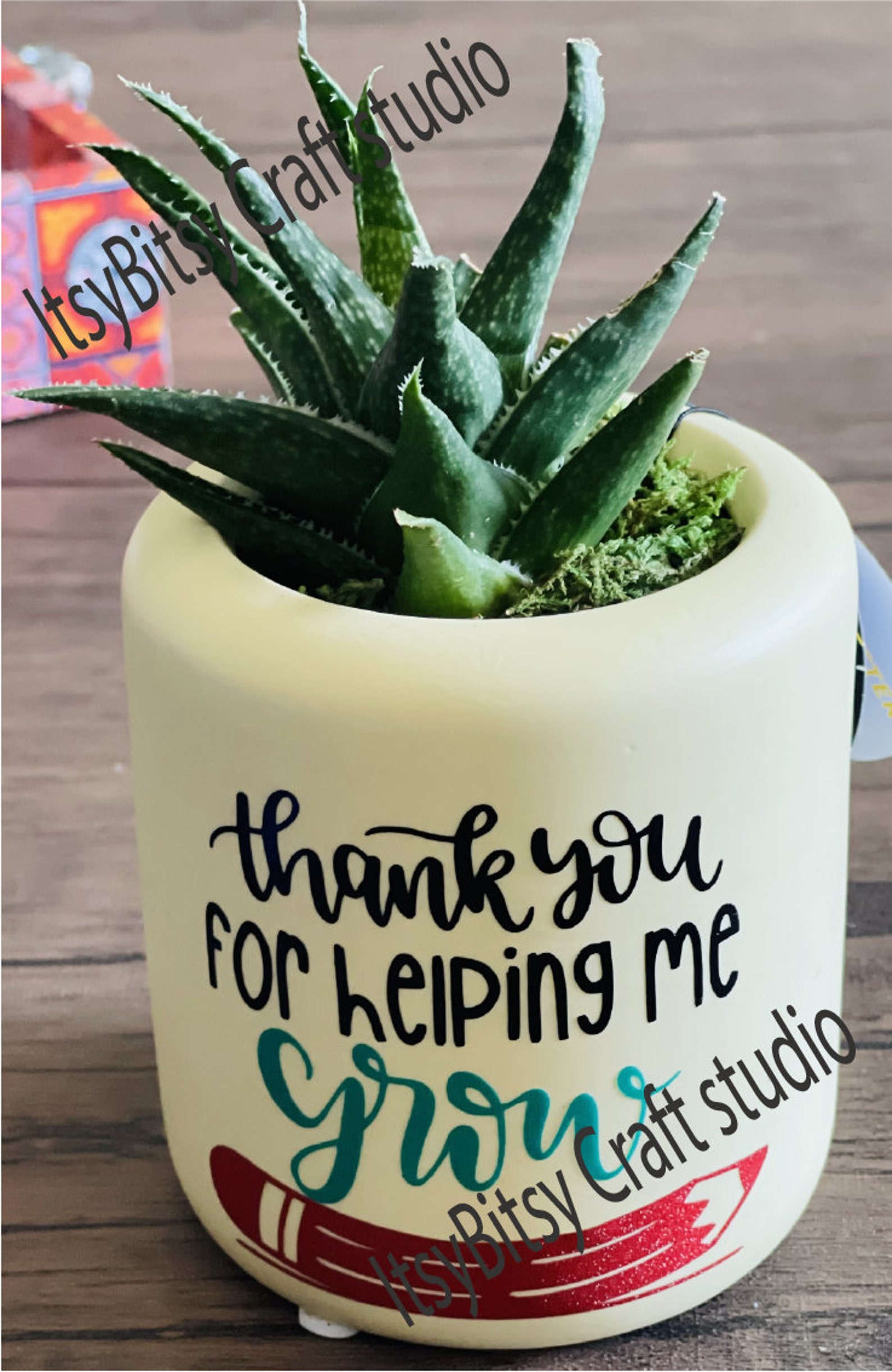 Succulent for Teachers Teachers Appreciation Gift End of - Etsy