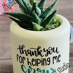 Succulent for Teachers, Teachers Appreciation Gift, End of Year Teacher ...