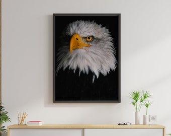 Janet Collins Artist Eagle in the Wild Framed Signed & - Etsy