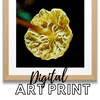 Digital Download Class Notes Template for Studying - Etsy