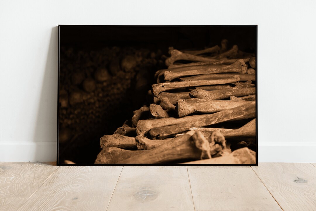 Pulvis Et Umbra Sumus. Les Catacombs Bone Collector in Paris, France. Fine Art Photography Print ...