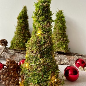 Tannenbaum aus Moos | Moosbaum | Advent | Weihnachten | Deko | Winter ...