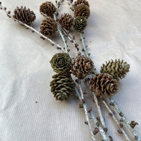 Zapfen - Etsy.de
