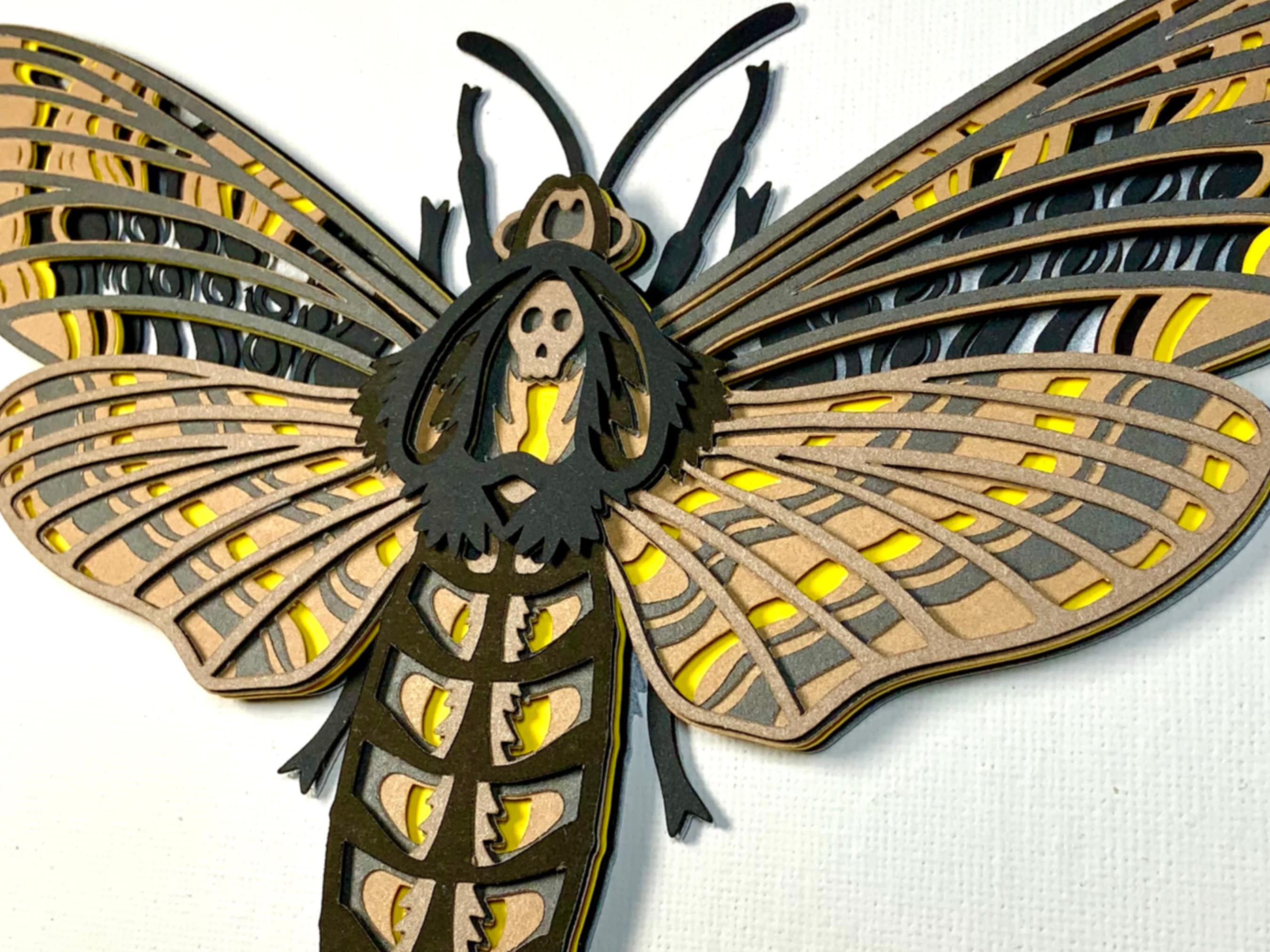 3D Deaths Head Moth SVG Layered Cut File Hawkmoth Insect - Etsy Australia