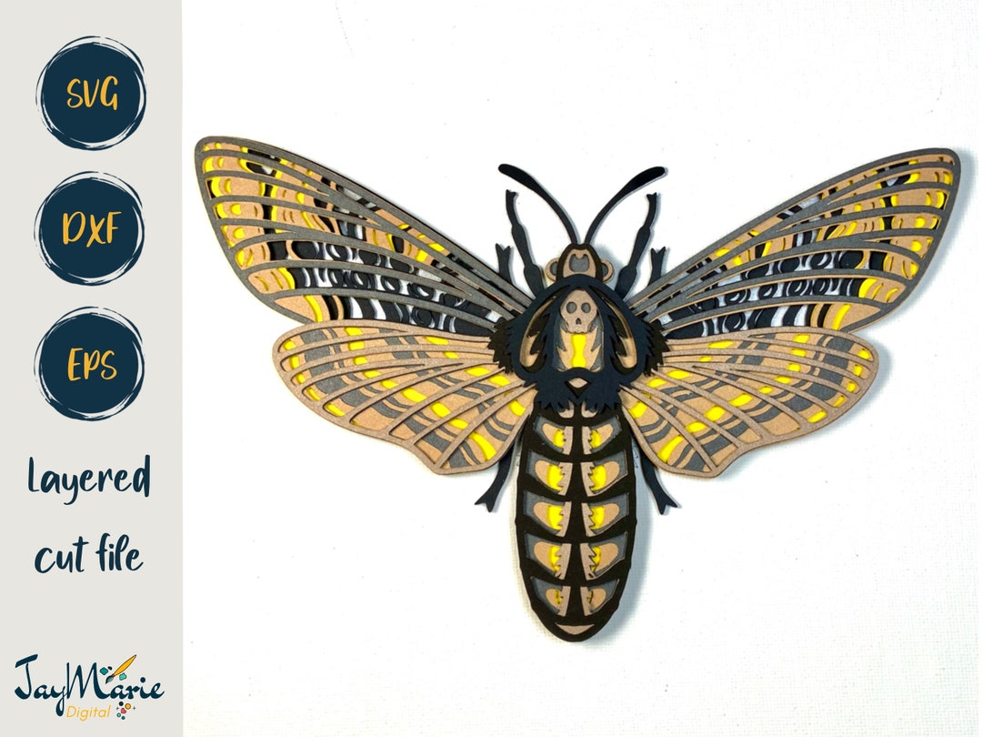 3D Deaths Head Moth SVG Layered Cut File, Hawkmoth Insect Multilayer ...