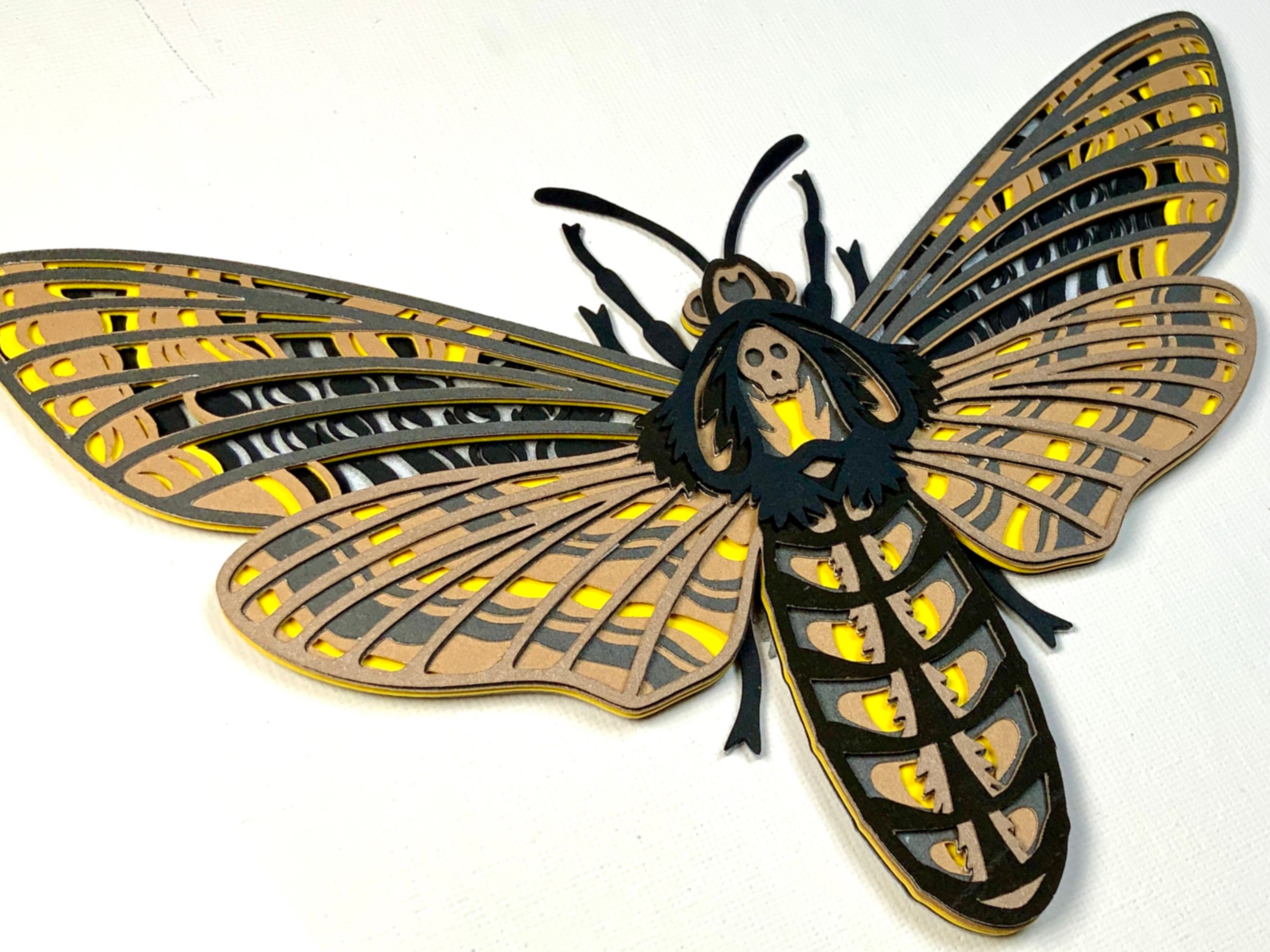 3D Deaths Head Moth SVG Layered Cut File Hawkmoth Insect - Etsy Australia