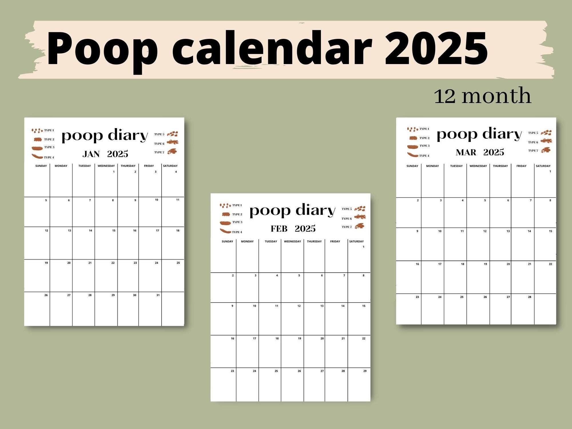 2025 Poop Calendar,stool Tracker,bristol Chart,bowel Movement Journal ...