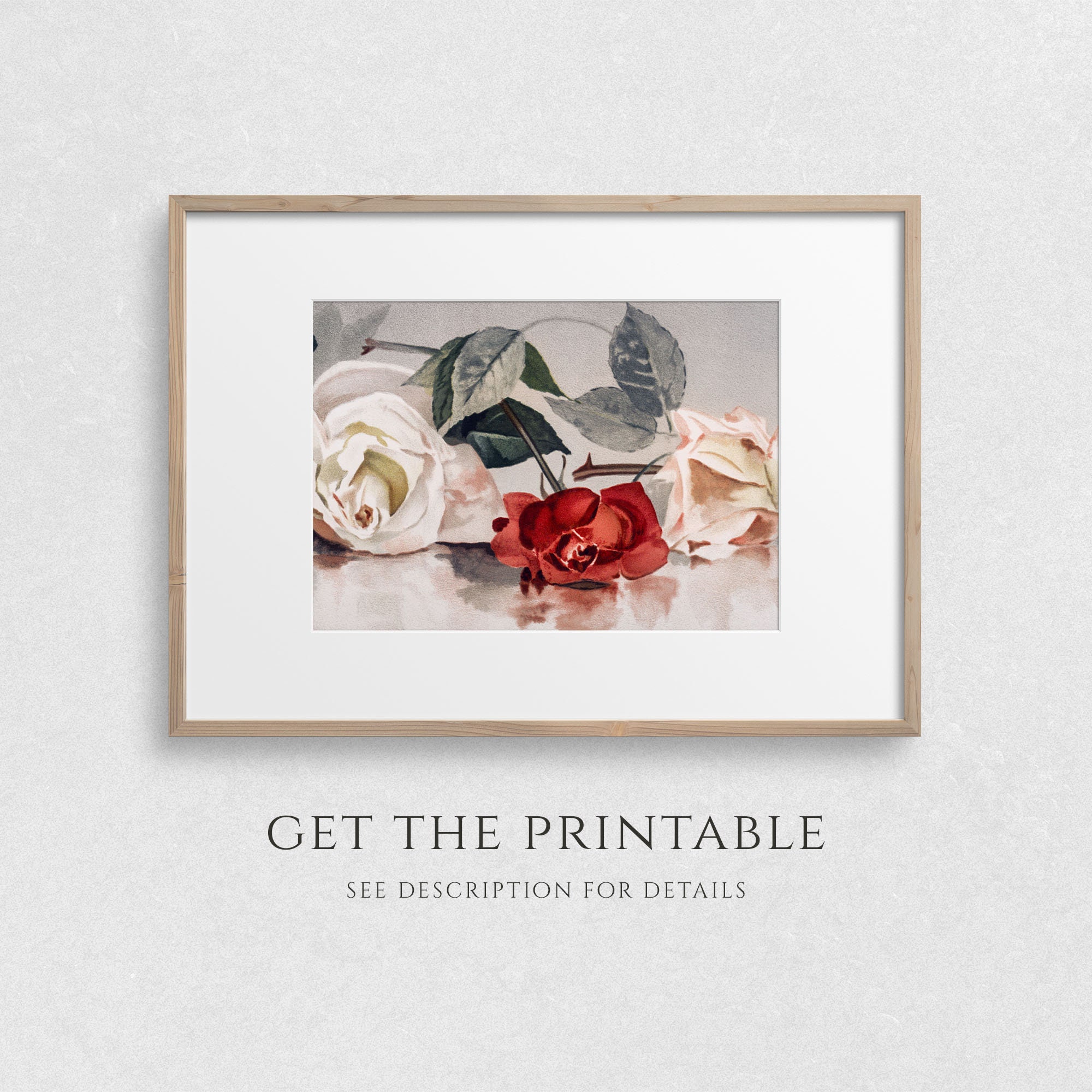 Samsung Frame TV Art Vintage Valentines Day Antiquated Roses Digital ...