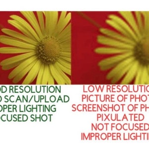 DIGITAL DOWNLOAD Personalized Custom in Memory Dove RIP - Etsy