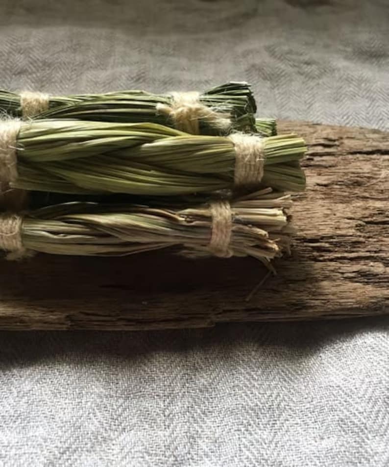20"-24" Sweetgrass Braid (single) - Organic, Canadian Grown, Indigenous ...