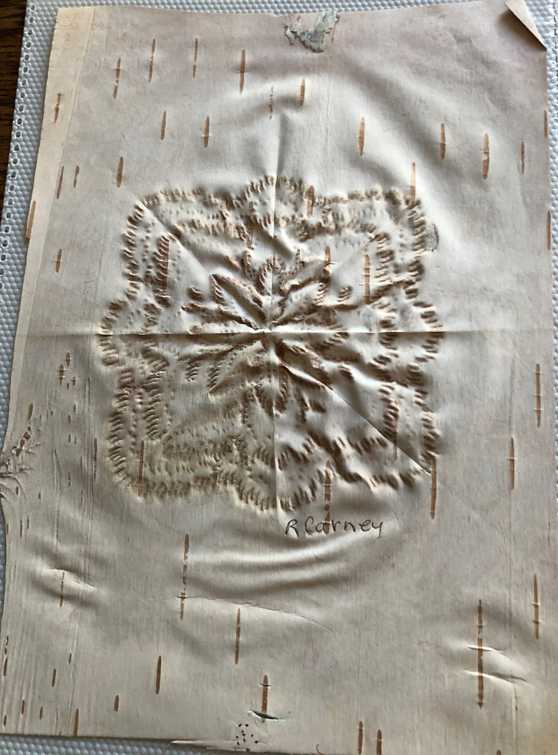 Native American Hand Crafted Birch Bark Biting Indigenous Arts and ...