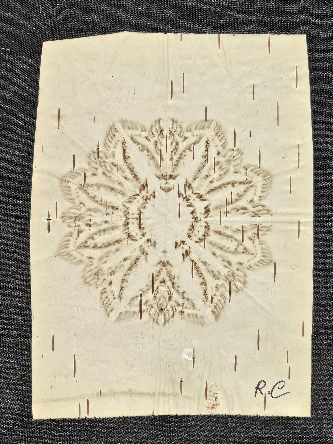 Native American Birch Bark Biting - Authentic Indigenous Art - Etsy