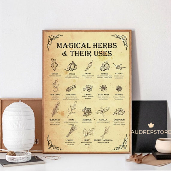 Magical Herbs and Their Uses Poster Magical Herbs Poster | Etsy