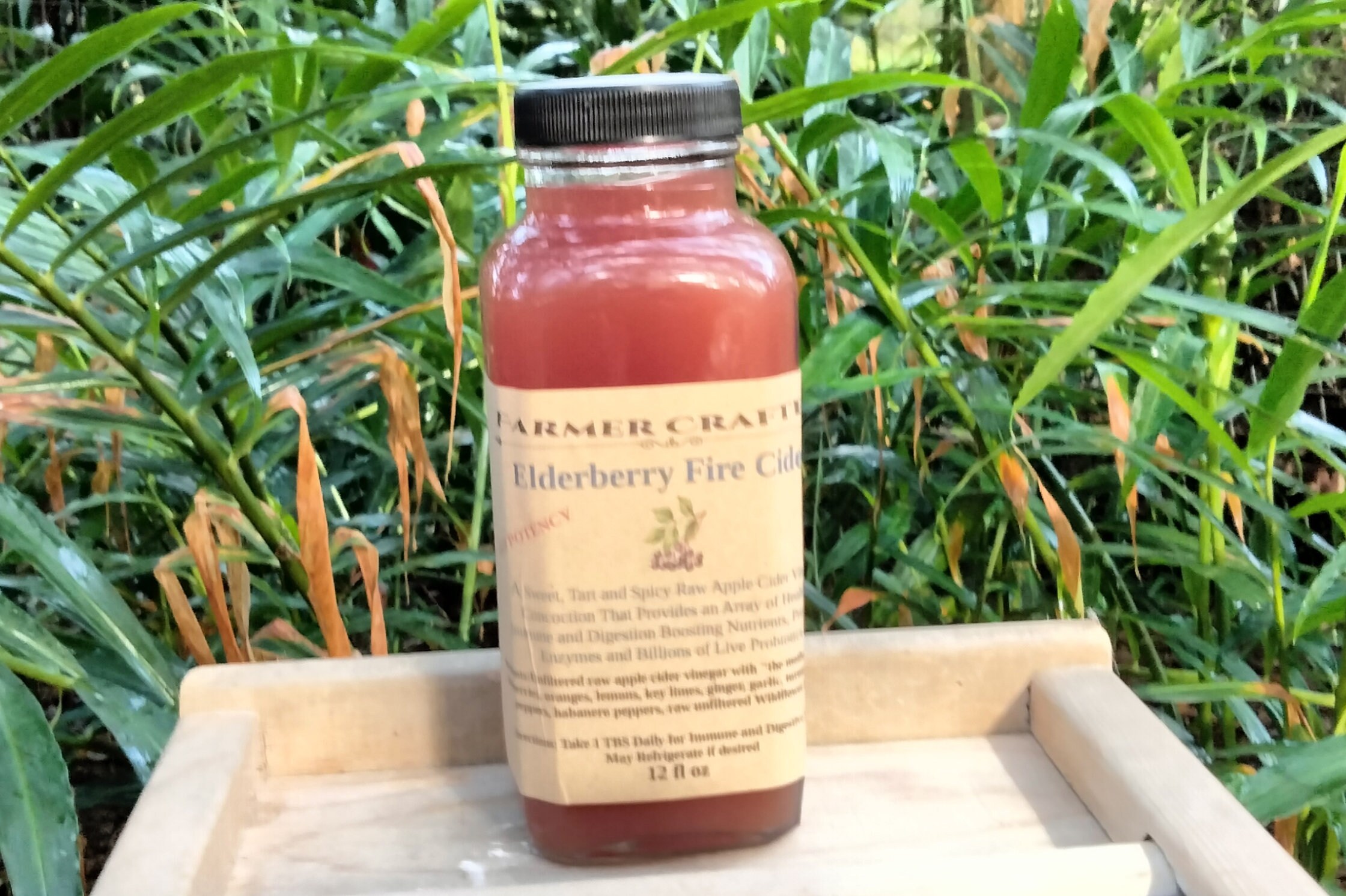 Elderberry Fire Cider Tonic High Potency, Made on Our Beyond Organic Family Farm, Wild Picked ...