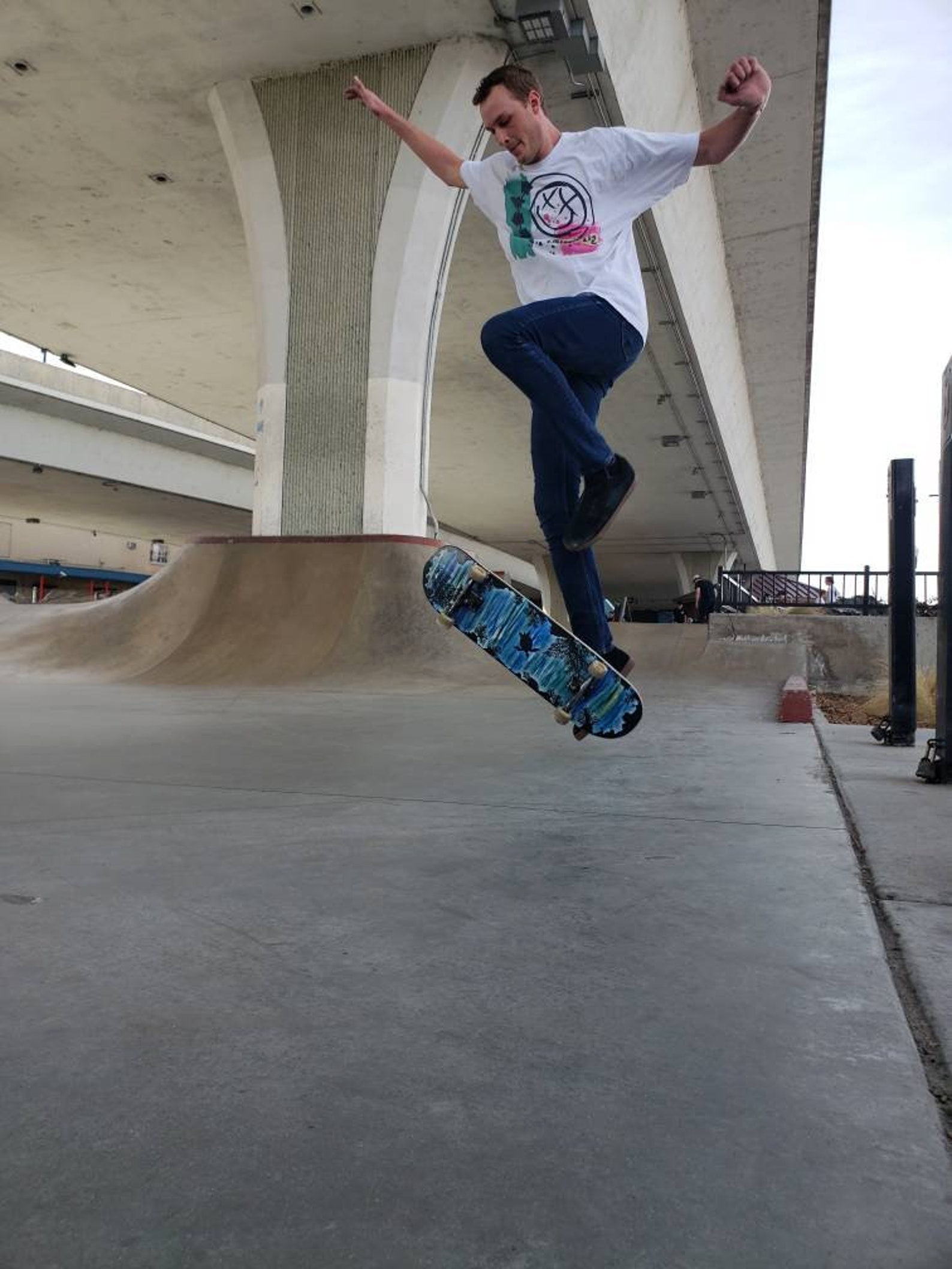 Turtle Skateboard Deck - Etsy