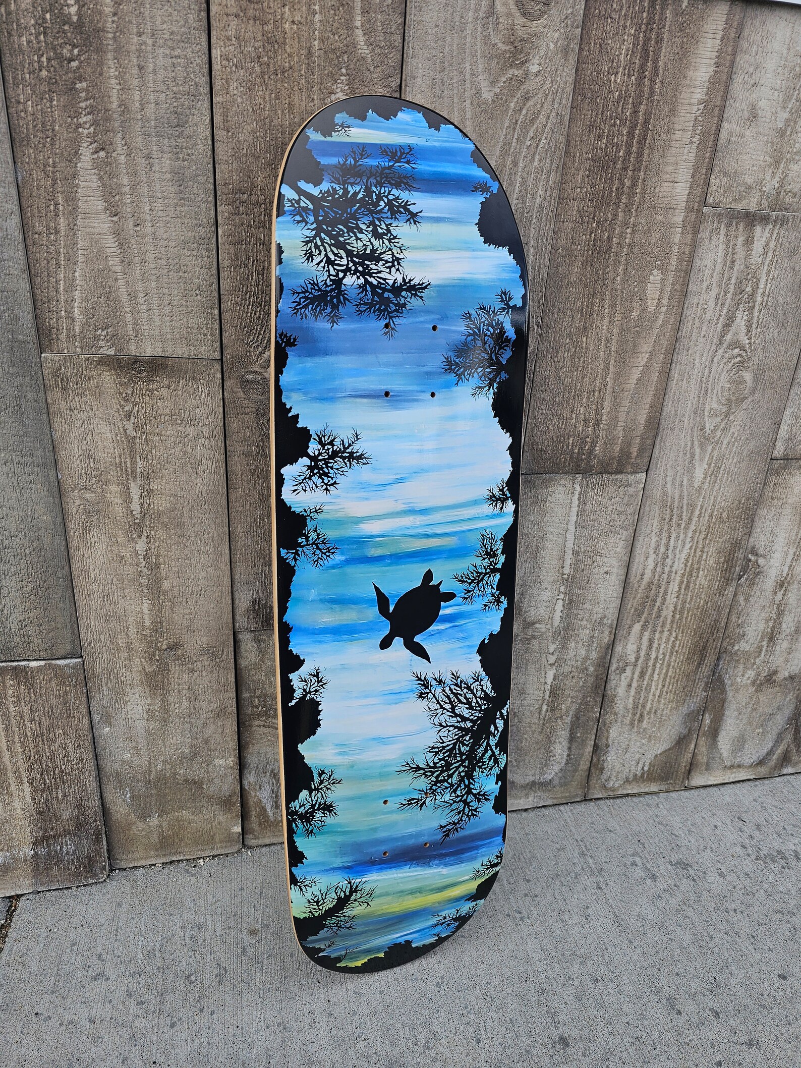 Turtle Skateboard Deck - Etsy