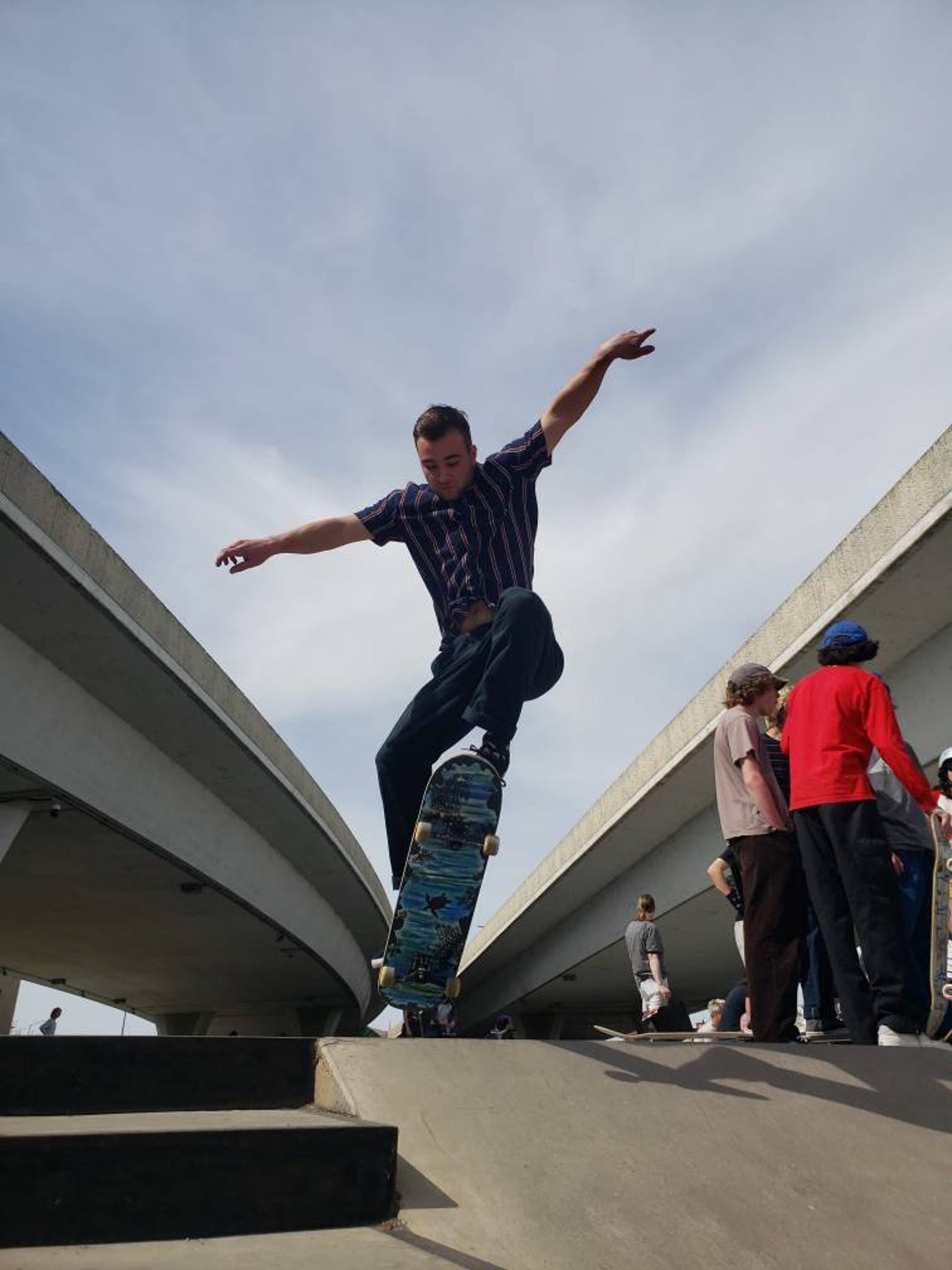 Turtle Skateboard Deck - Etsy