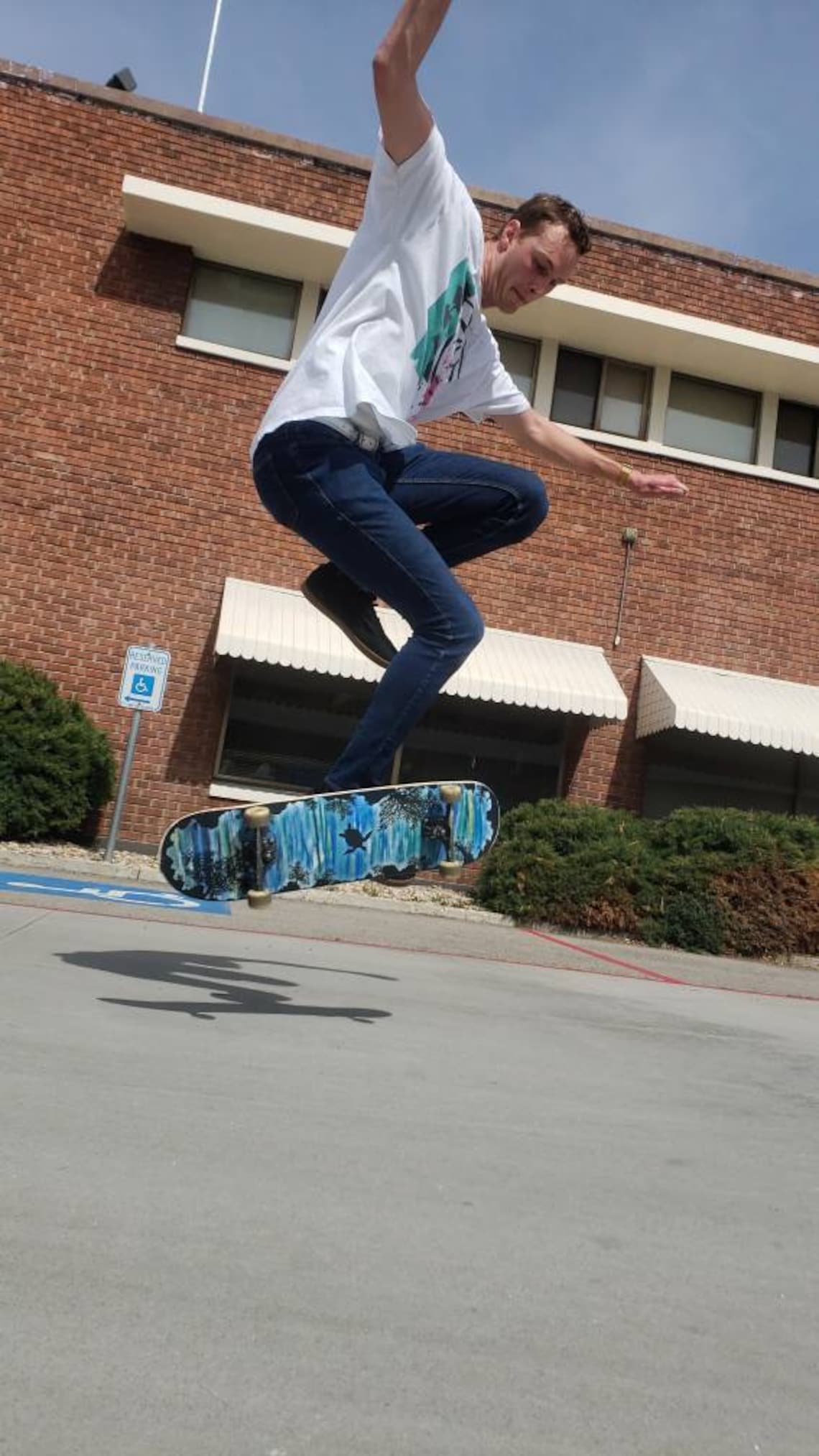 Turtle Skateboard Deck - Etsy