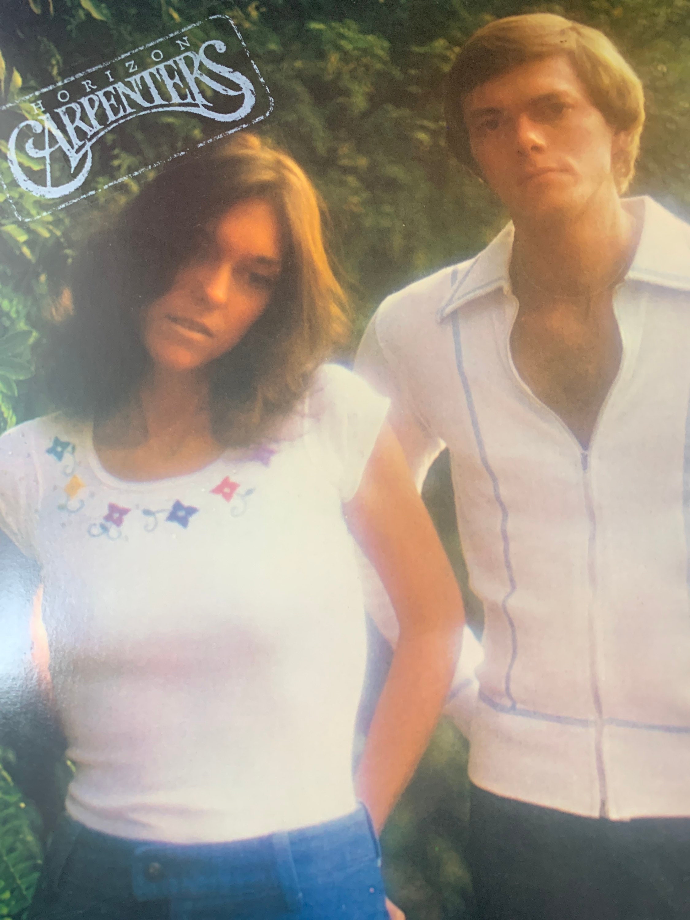 Carpenters, Horizon, Vinyl Album - Etsy