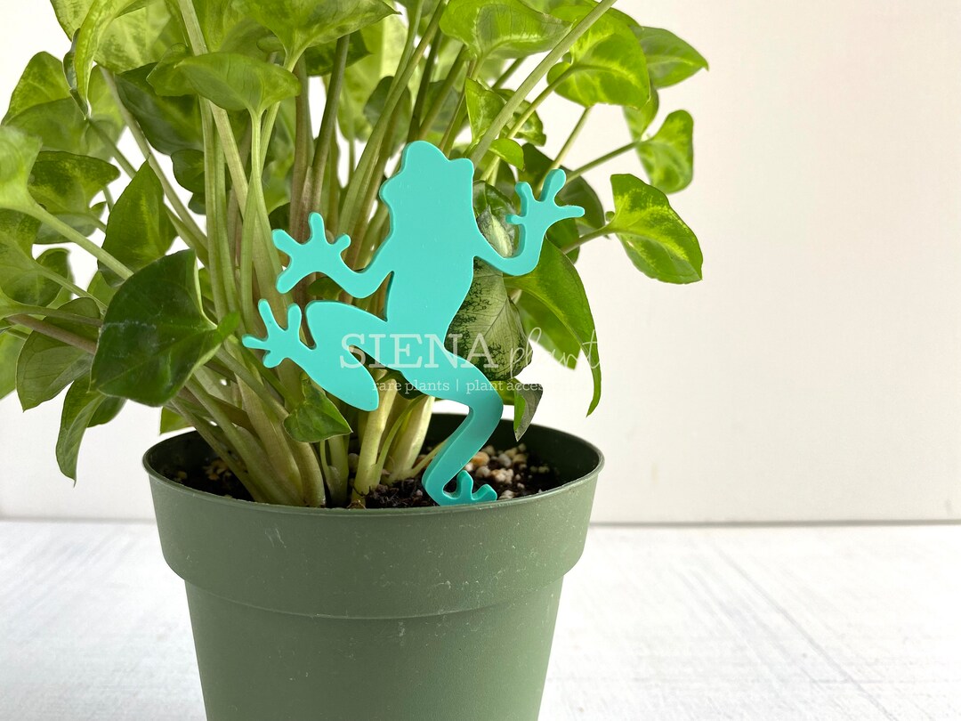 Tree Frog Decorative Plant Stakes, Indoor Acrylic Plant Markers - Etsy