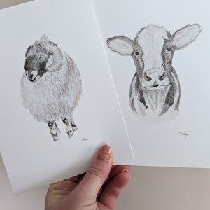 Hand-drawn Limited Edition Cow Print | Irish Artist - Etsy