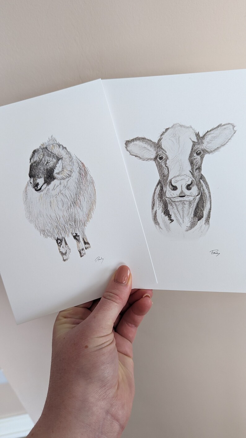 Hand-drawn Limited Edition Cow Print | Irish Artist - Etsy