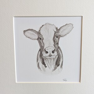 Hand-drawn Limited Edition Cow Print | Irish Artist - Etsy
