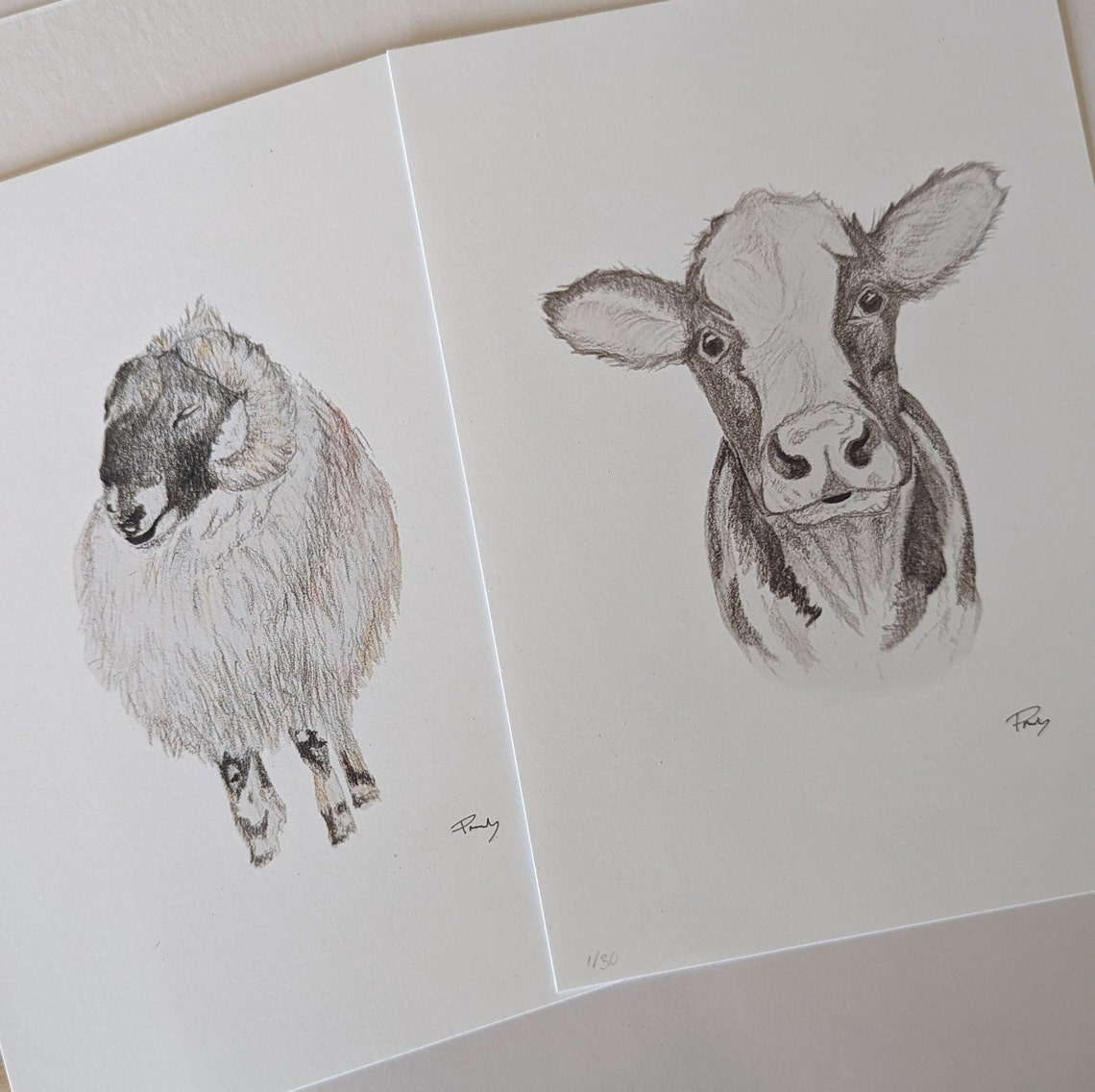 Hand-drawn Limited Edition Cow Print | Irish Artist - Etsy