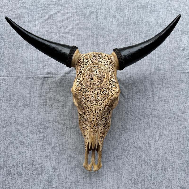 Real Cow Skull - Etsy