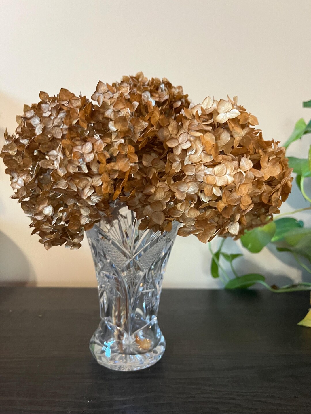 Dried Hydrangeas -2 Stems - Etsy