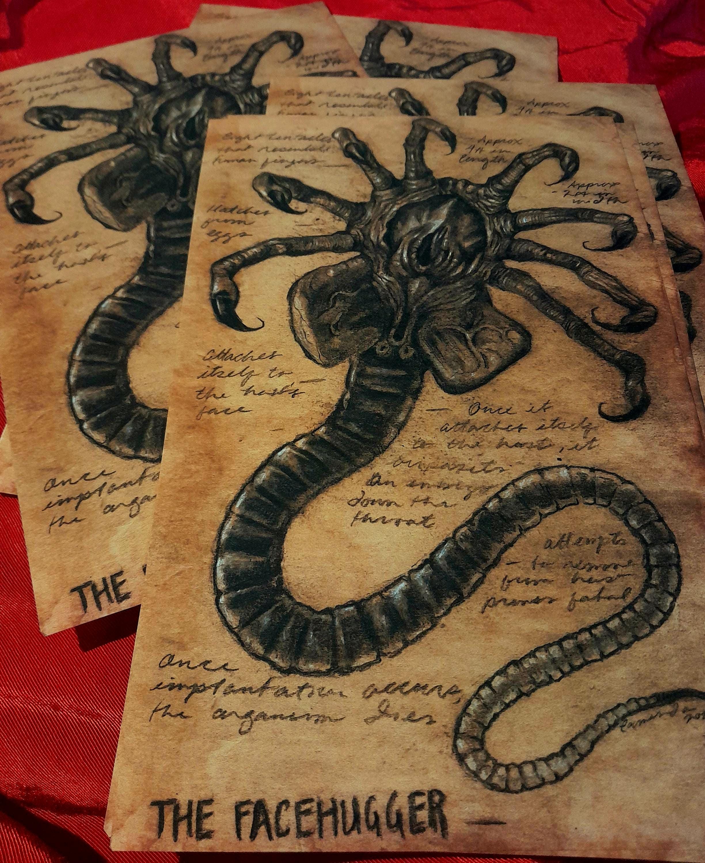 Alien Facehugger Xenomorph Art Print Gothic Oddity Fine Art Print Wall ...