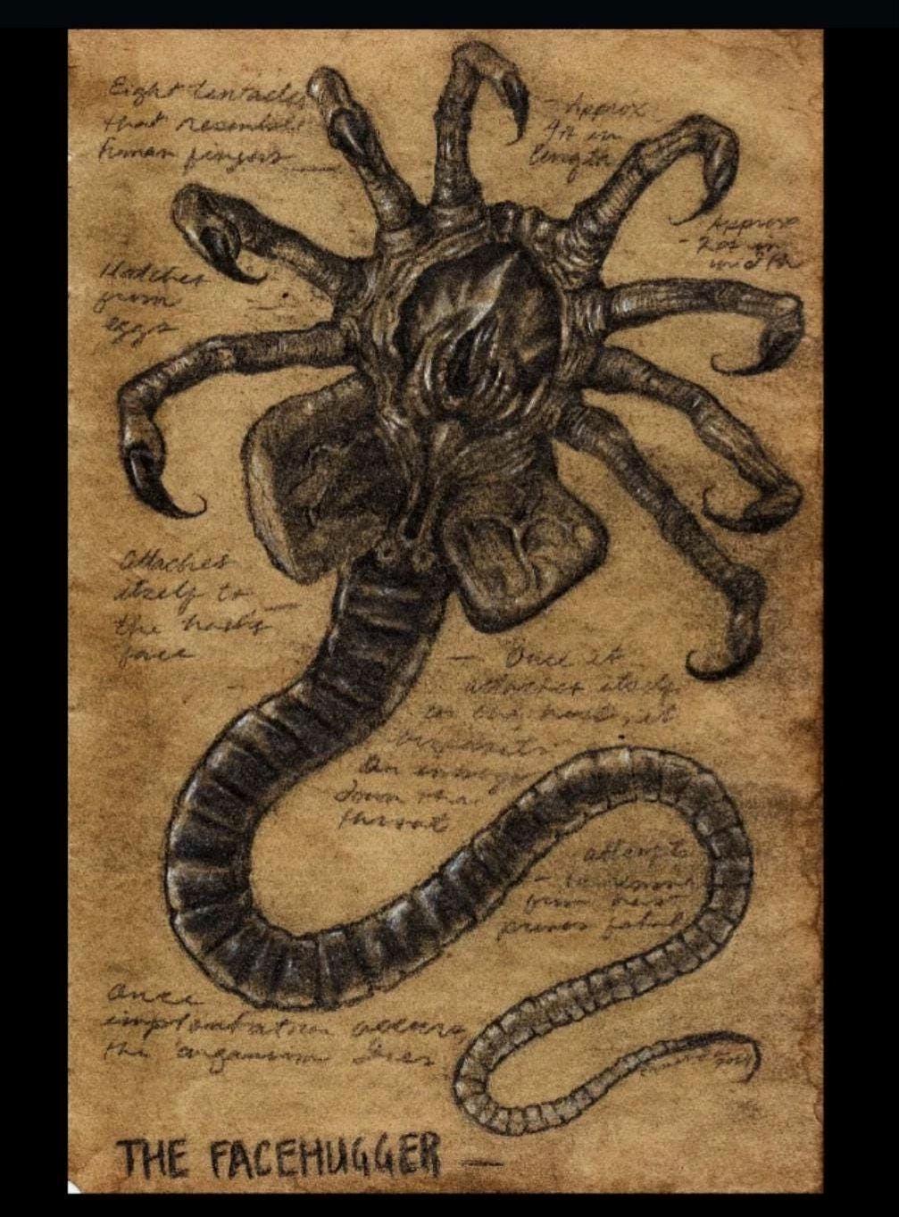 Alien Facehugger Xenomorph Art Print Gothic Oddity Fine Art Print Wall ...