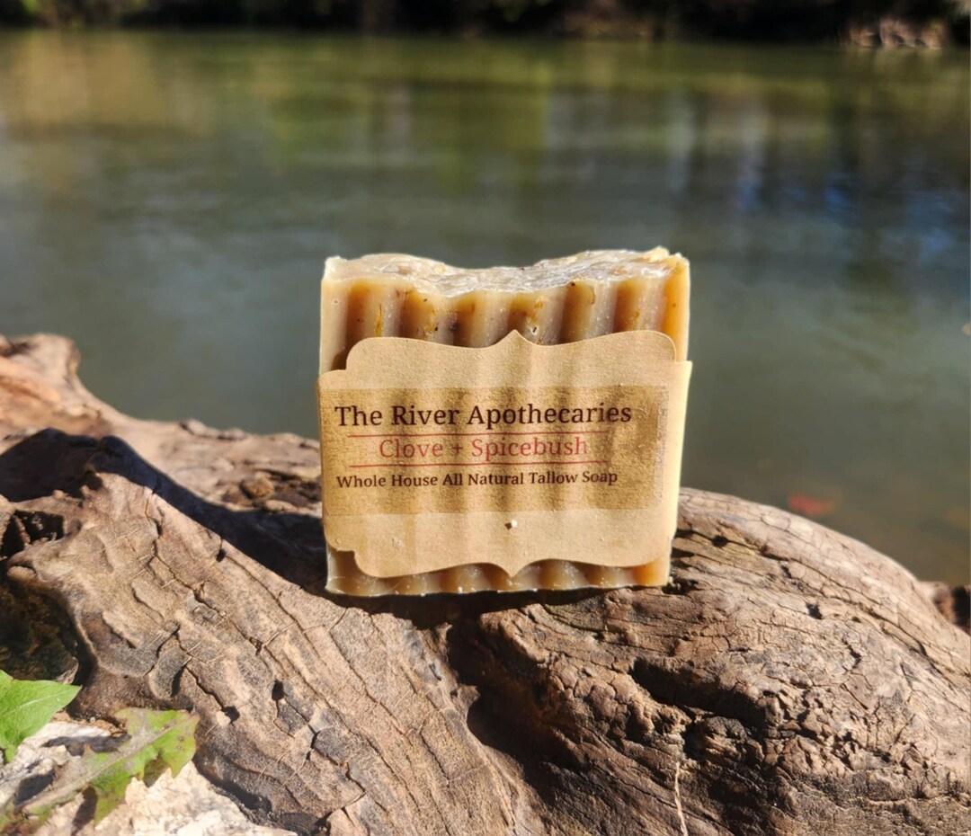 Clove& Spicebush Olive Oil Soap (3 Pack) - Etsy