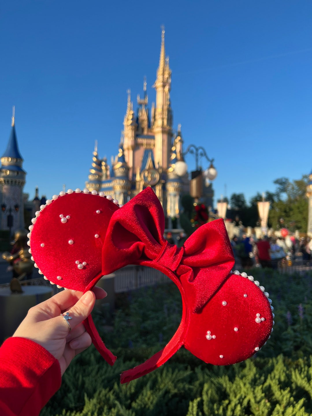 Cranberry Velvet Ears! - Etsy