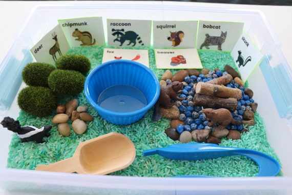 Woodland Animal Sensory Bin Sensory Bin Preschool Activity - Etsy