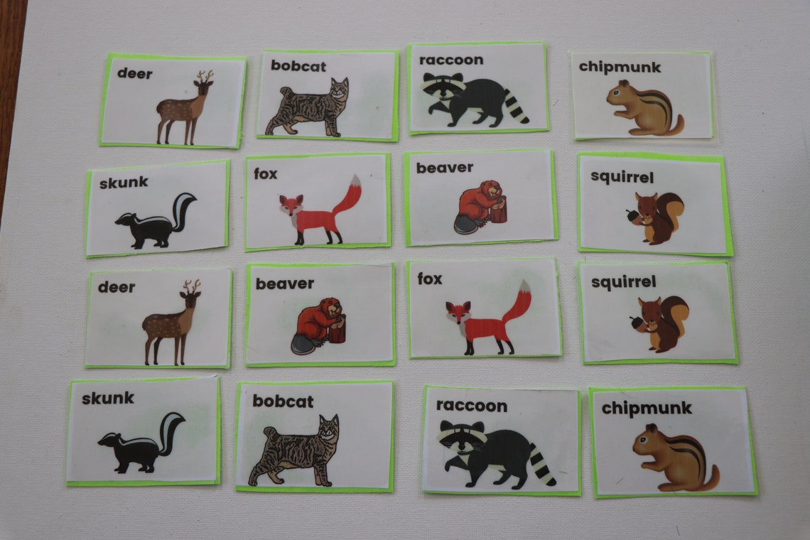 Woodland Animal Sensory Bin, Sensory Bin, Preschool Activity, Sensory ...