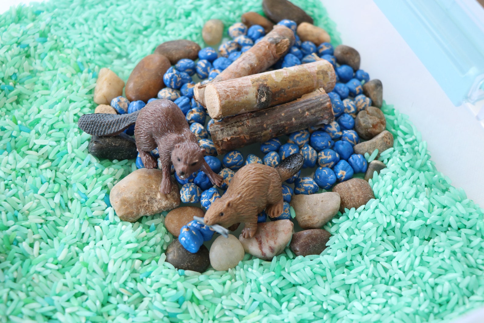 Woodland Animal Sensory Bin, Sensory Bin, Preschool Activity, Sensory ...